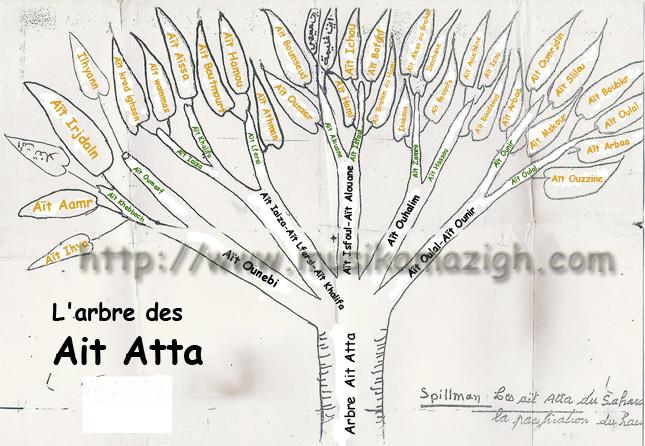 Ait Atta (arbre)