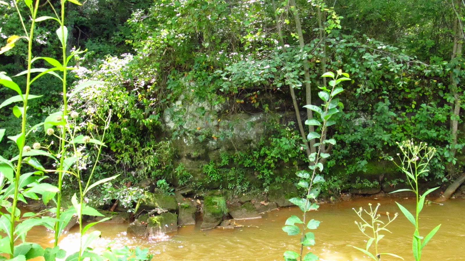 Old Industry of Southwestern Pennsylvania : Sewickley Branch Of The ...