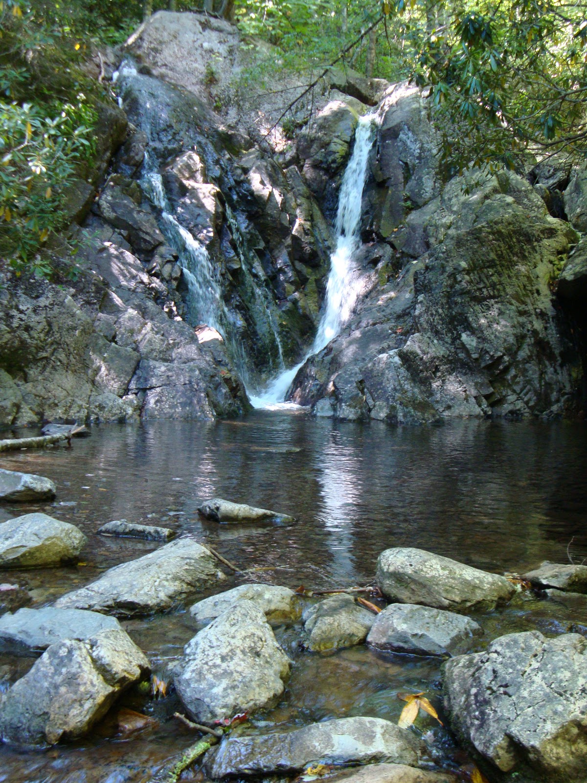 Comfortable Adventures!: Grayson Highlands State Park