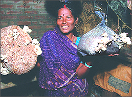 Agro Farming Business In India: April 2012