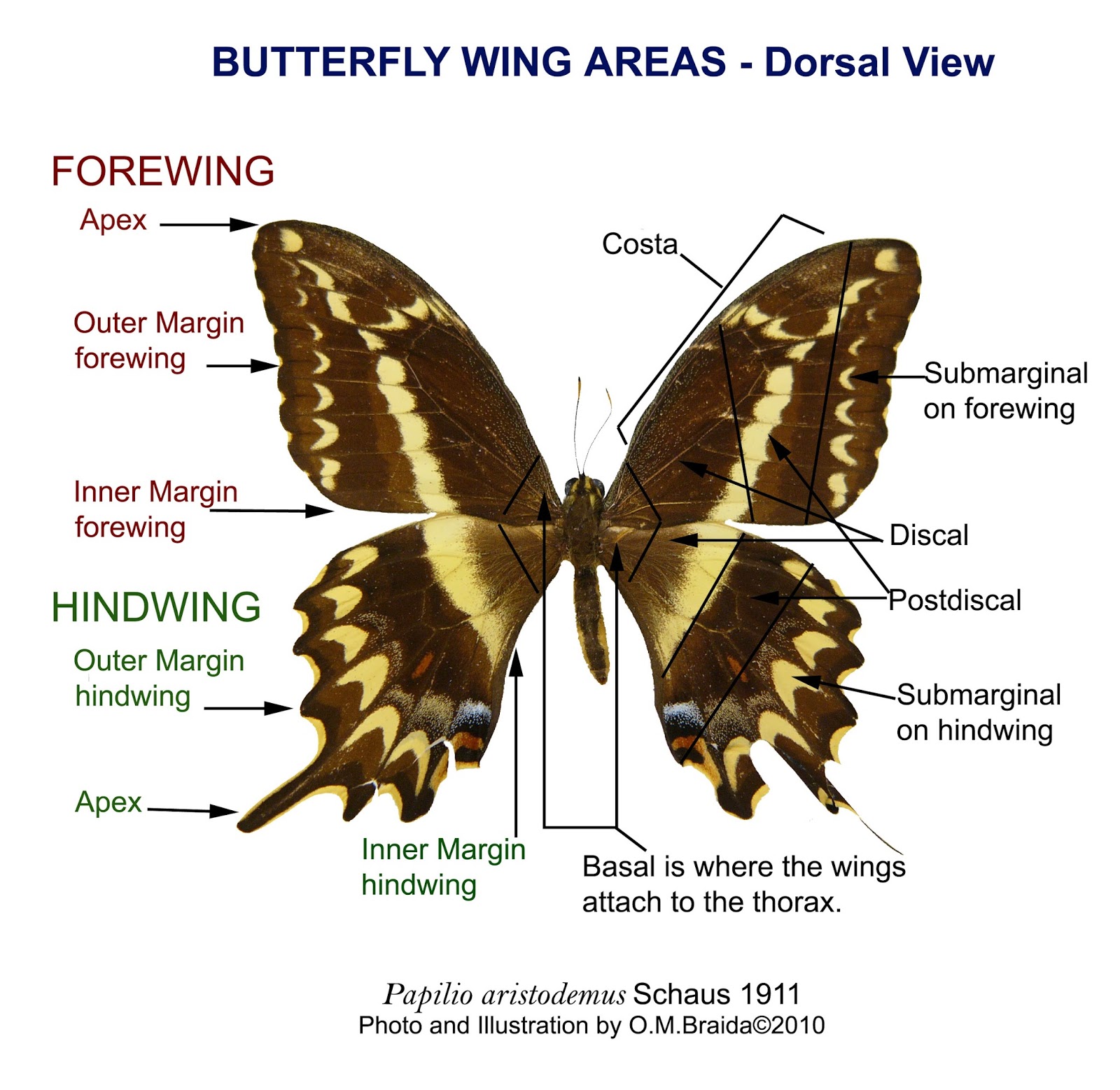 akshay: How to Recharge Ground Water and Prevent Contamination?
