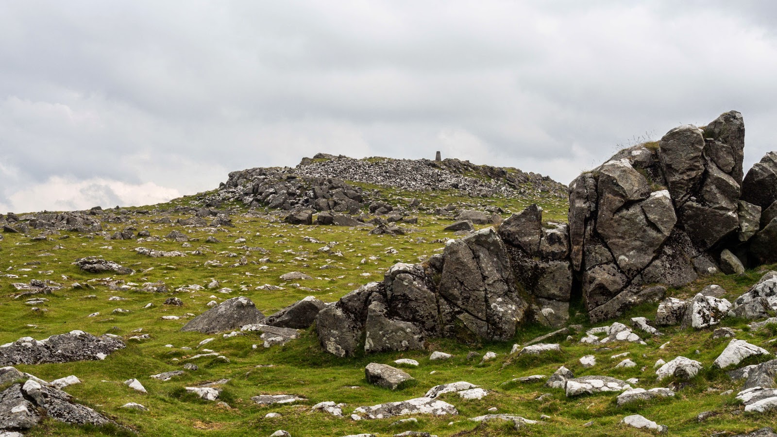 My Dartmoor Walks: Tuesday 1st July Pork Hill