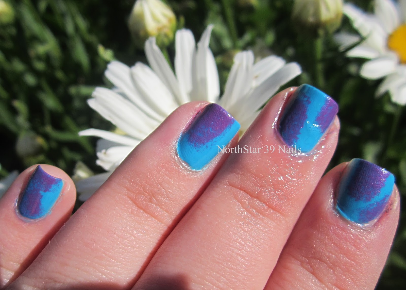 NorthStar 39 Nails: Pixar Perfect Nails