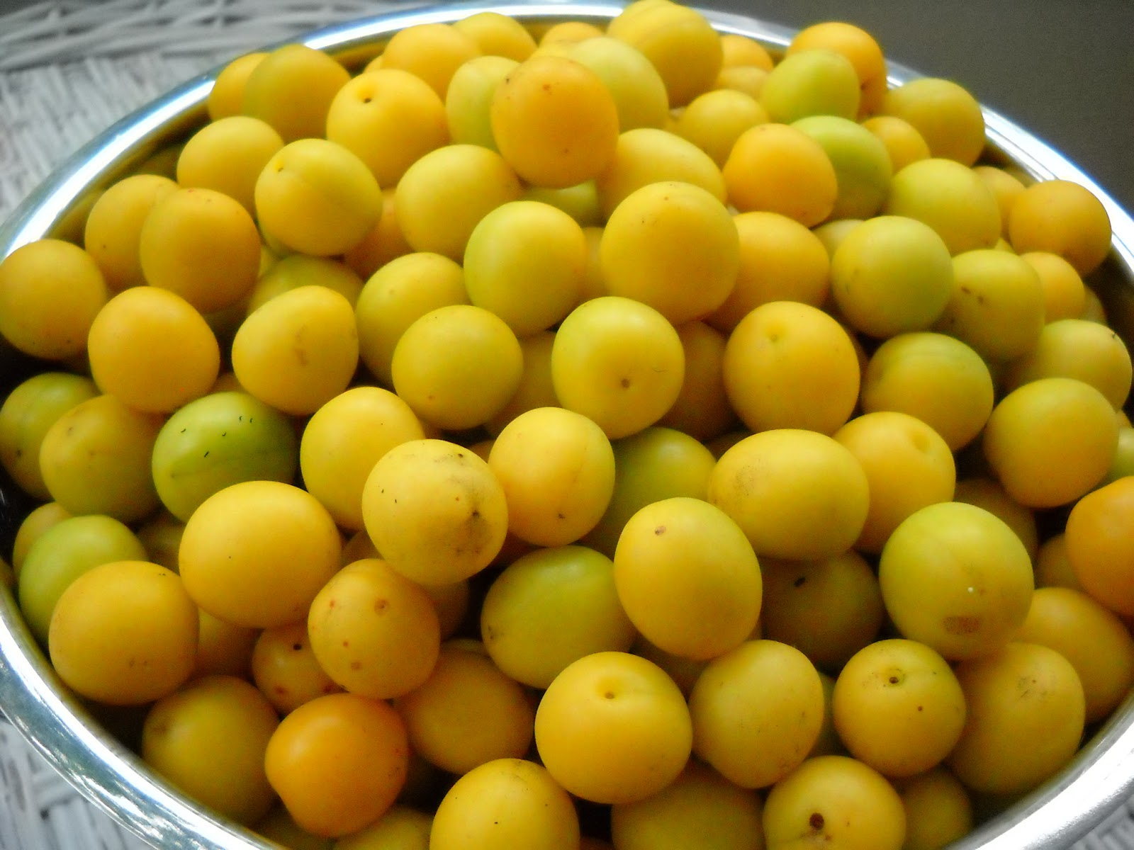 Huset bakom lindarna: Mirabelle