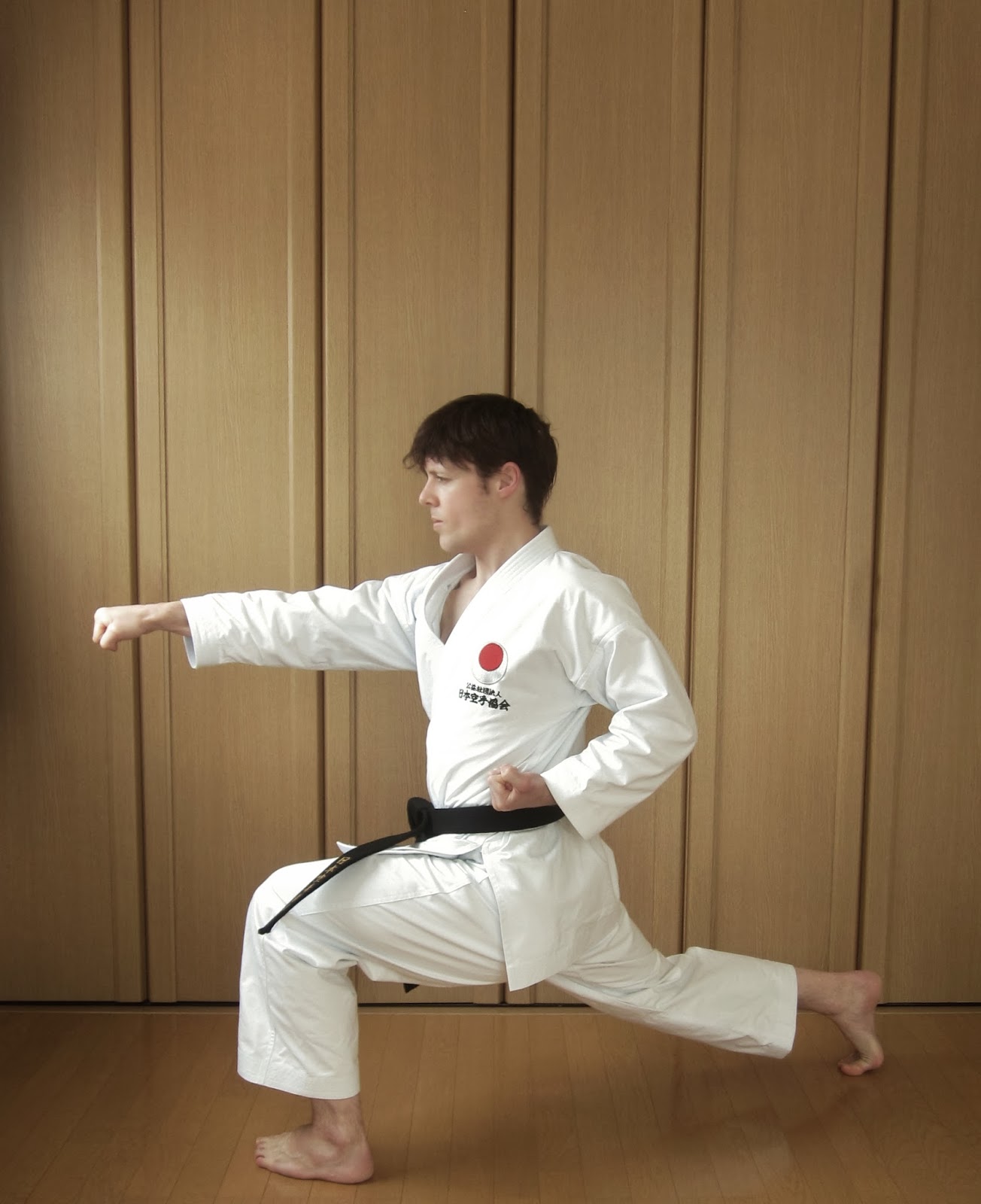 André Bertel's Karate-Do: Pedagogical differences: A brief case study ...