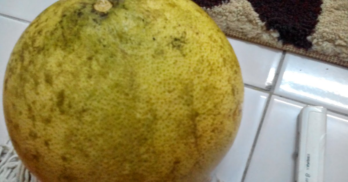 Kini Dan Selamanya: Limau Bali Hmmmmm