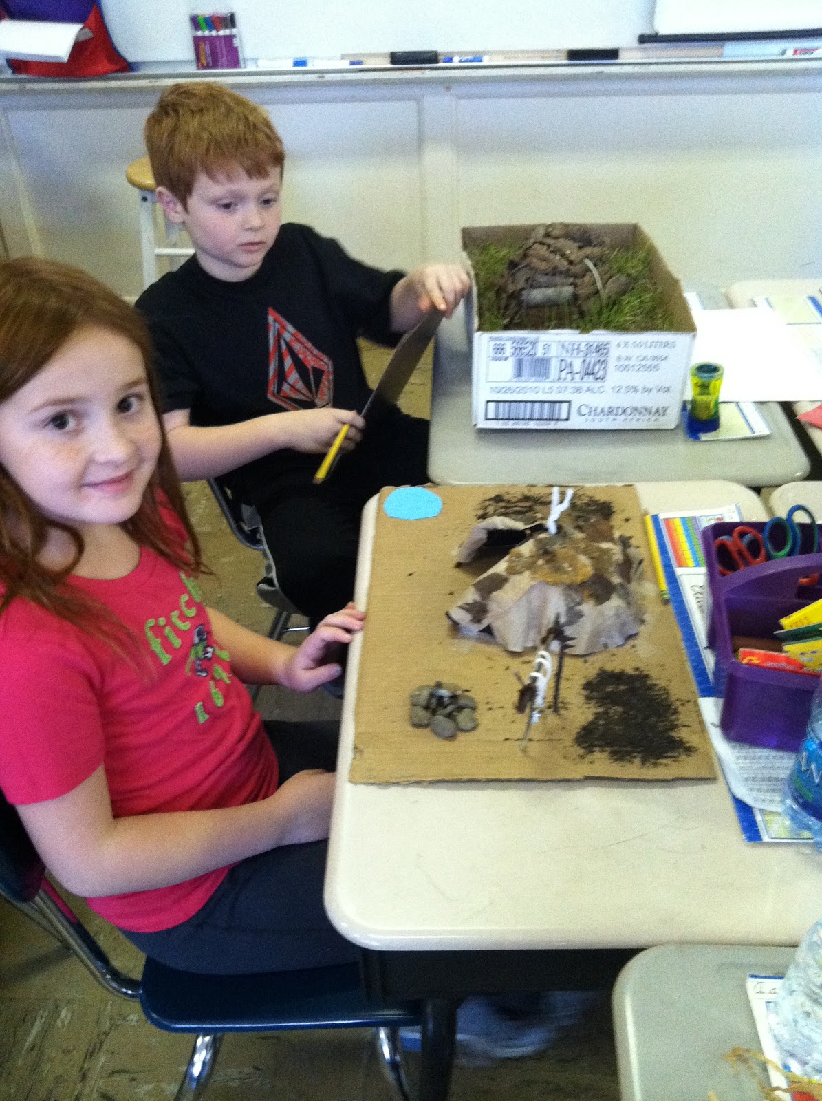 Walton School Blog: Third Grade Long Houses