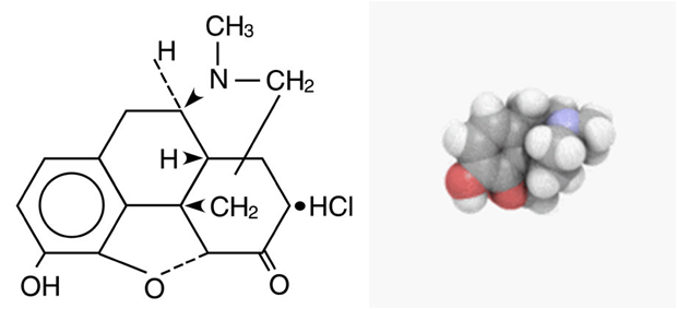 FATMA ZAHRA (fzahra): EKSPERIMEN MORFIN HCL "Alkaloid Opium, Inti ...
