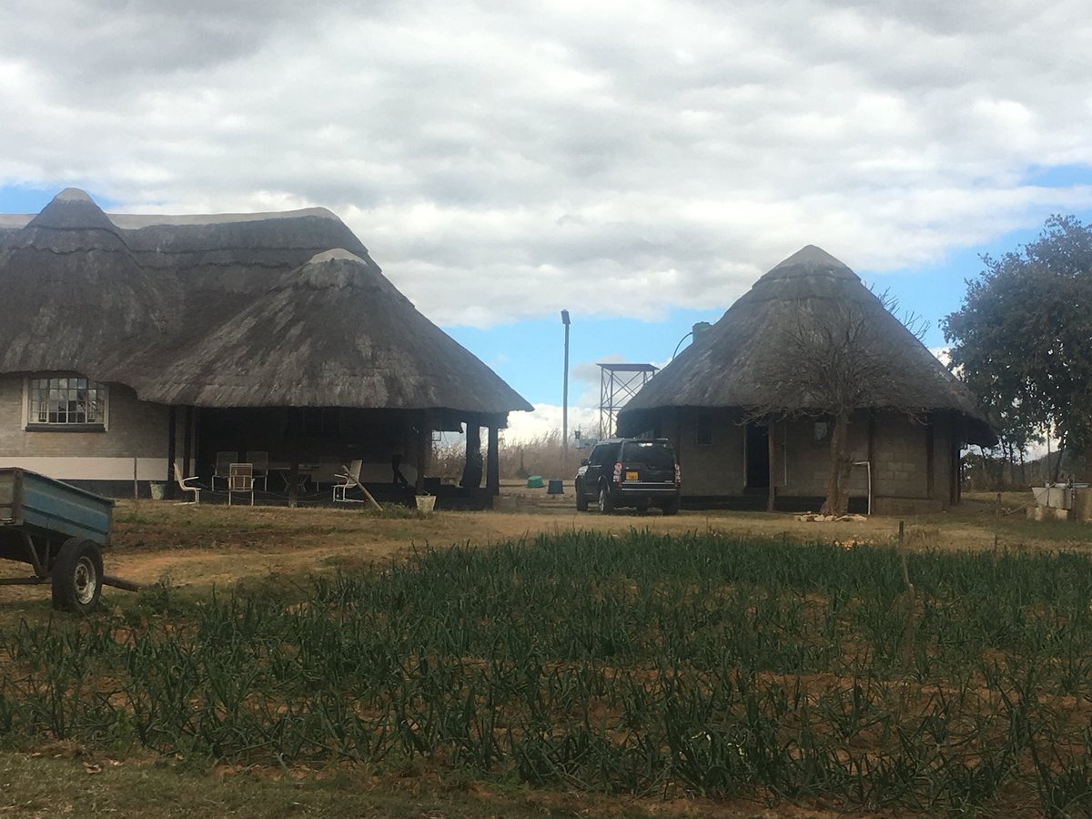 TUKU : NDAFUNGA DANDE | Mafaro