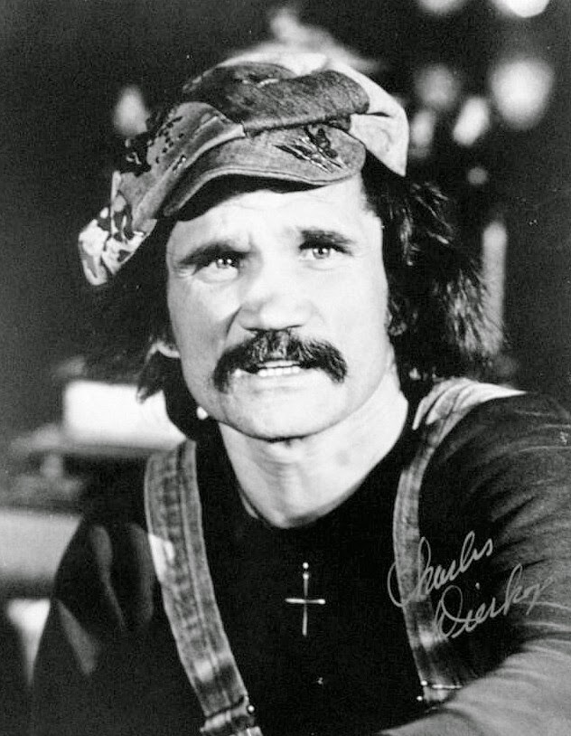 Avengers in Time: 1974, Television: “Police Woman”