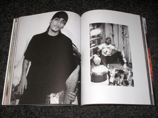 kevin amato photographs