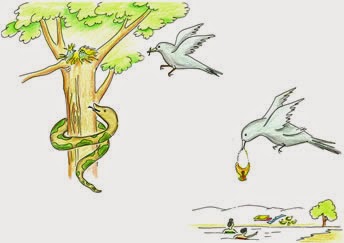 Kids Ultimate Zone: The Snake and The Crows