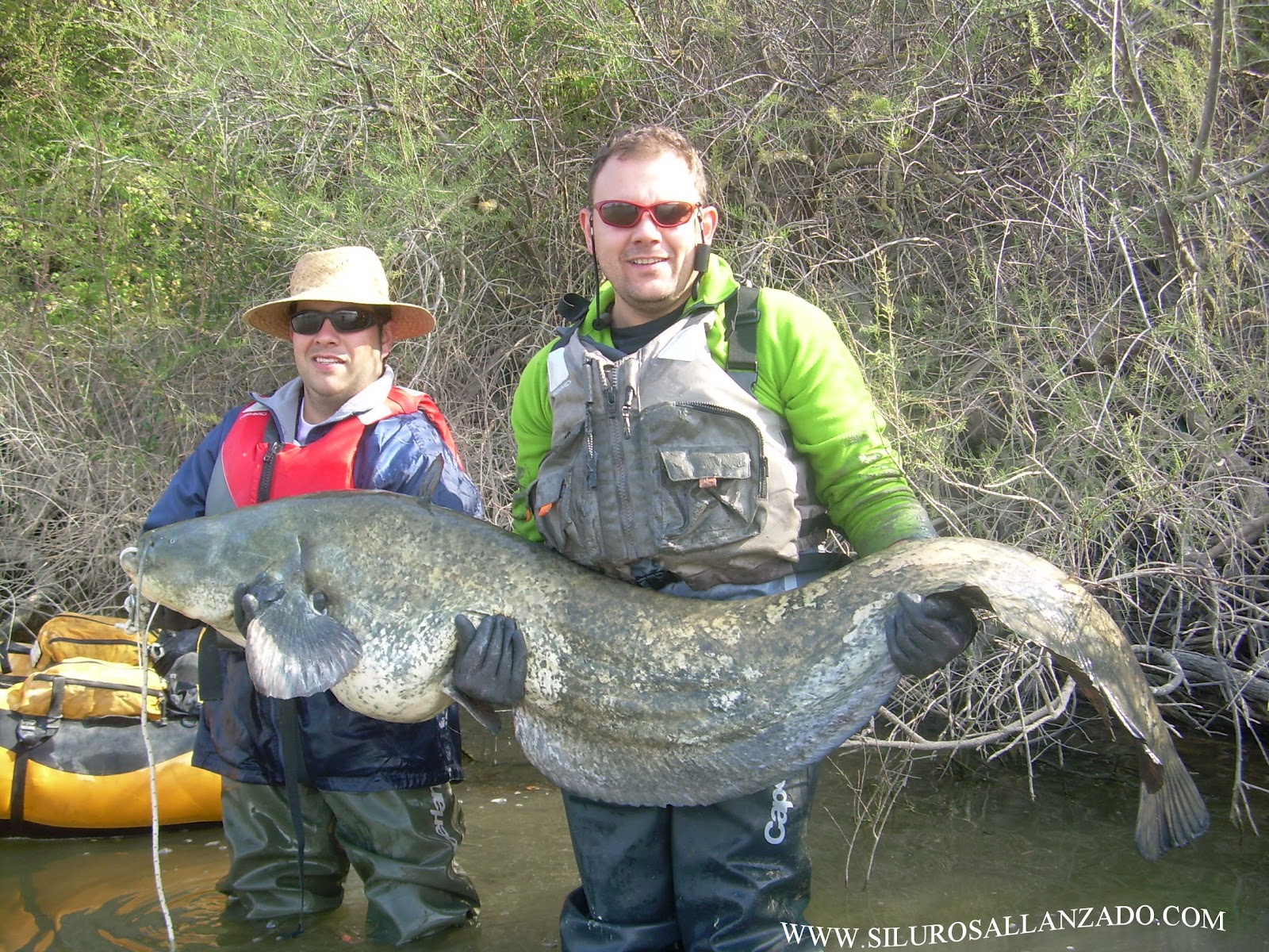 PESCA DEL SILURO EN EL EBRO: PESCA DEL SILURO DESDE PATO