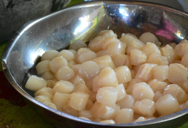 mybeautifulILOILO: Tikab-Tikab Festival: Committing to the Livelihood ...