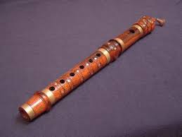 Alat-alat Muzik Tradisional India