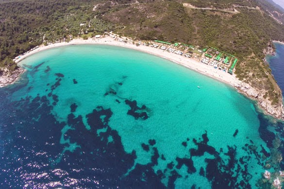 Νεότερη ανάρτηση