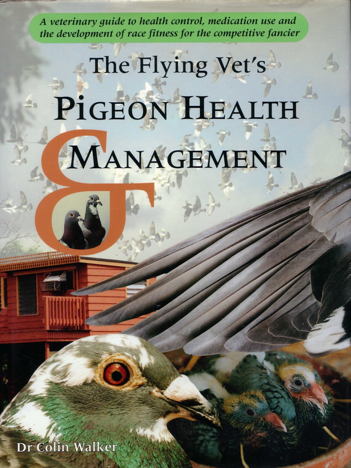 Huc & Gabet: The Flying Vet's Pigeon Health Management by Dr. Colin Walker.