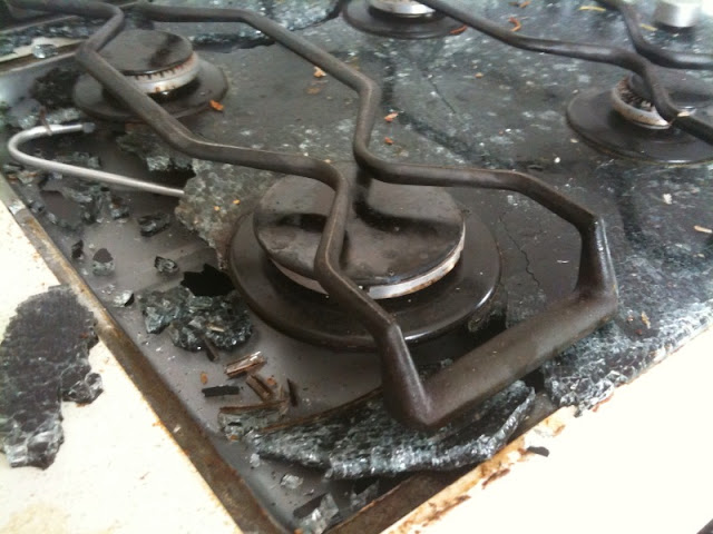 Adventures of Bento Cat: Glass Stove Exploded, Saved by Bagettes