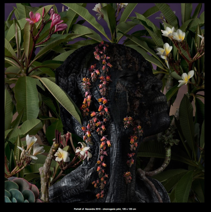 MSDesigns: Simon Strong