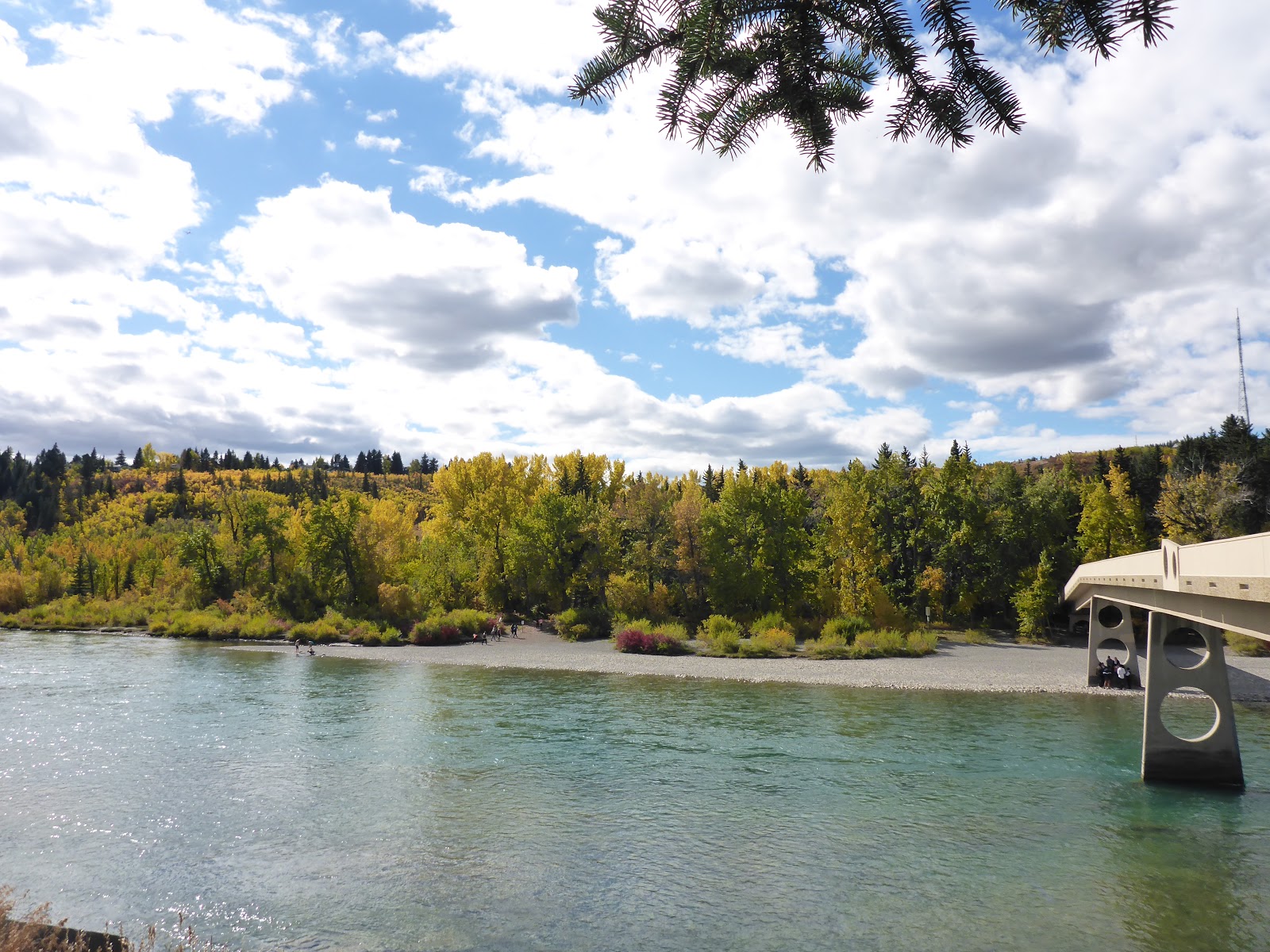 I am Calgary: Calgary: Exploring the Bow River Pathway NW