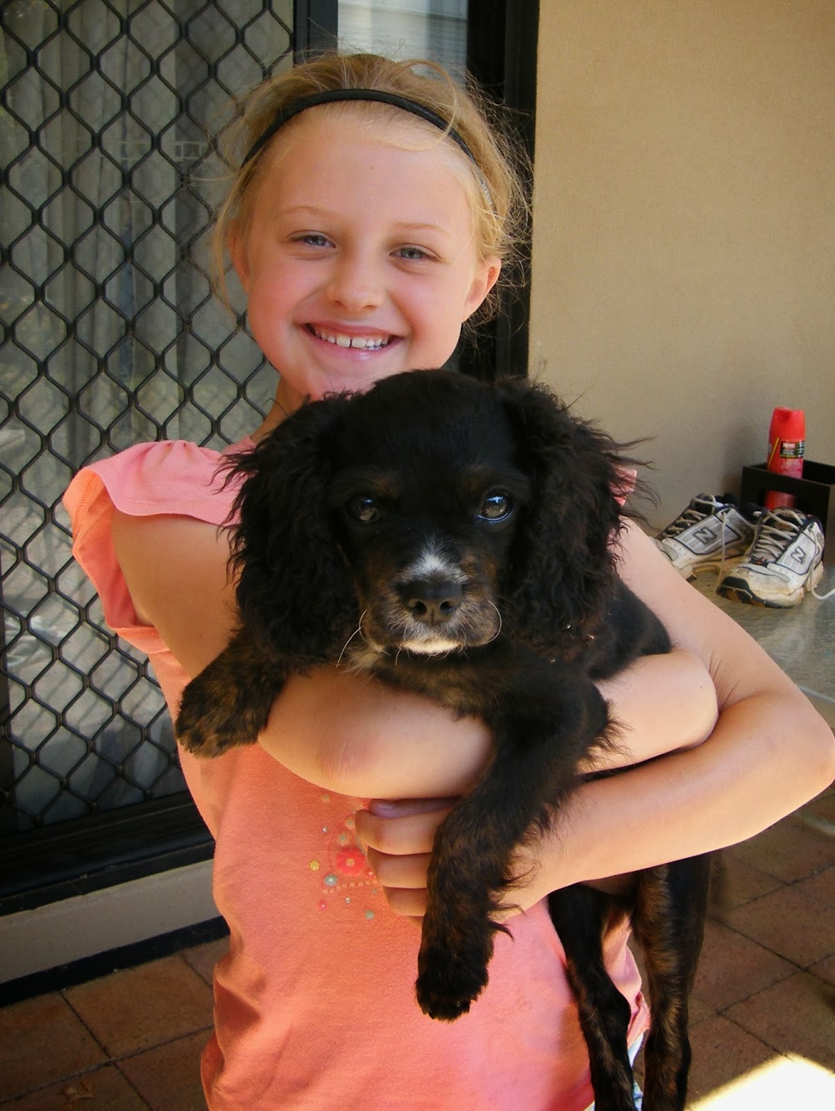 BJ and Noelle Travel Oz : Yeppoon - Glebe Weir (Taroom), QUEENSLAND