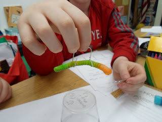 Growing a STEM Classroom: Can You Save FRED? Activity