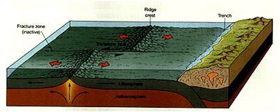 GEOGRAFIA - MÁRCIA MEYER