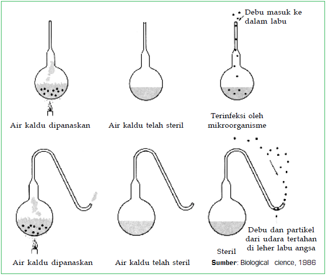 Teori Asal Usul Kehidupan (Teori Abiogenesis, Biogenesis, Kosmozoan ...