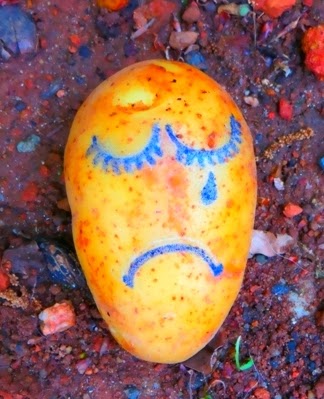 Ginormous Little Light: I Want To Be A Simba Chippie