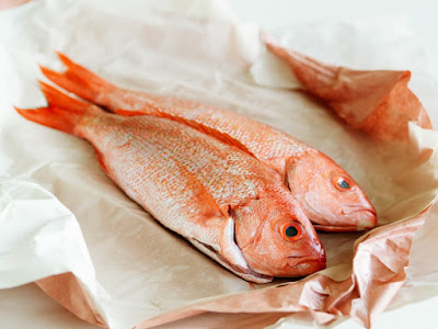 Fresh Red Snapper, Buy Red Snapper, Red Snapper Facts, Pacific Red ...