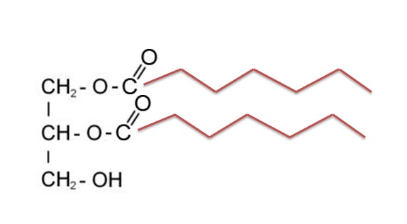 Aceites y Grasas Comestibles