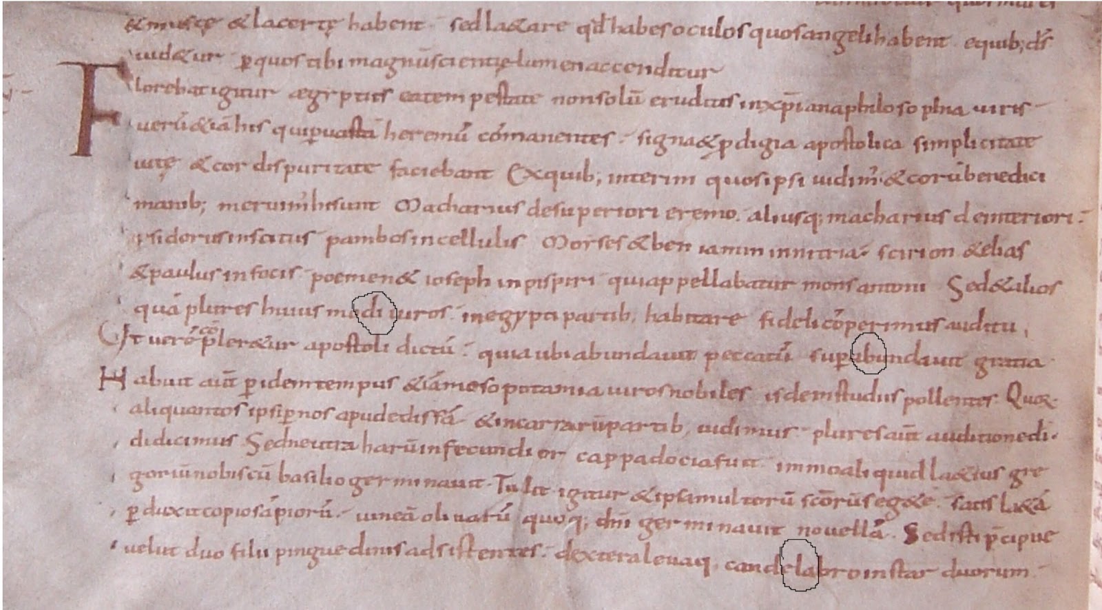 Worcester Cathedral Library and Archive: Carolingian Writing Style