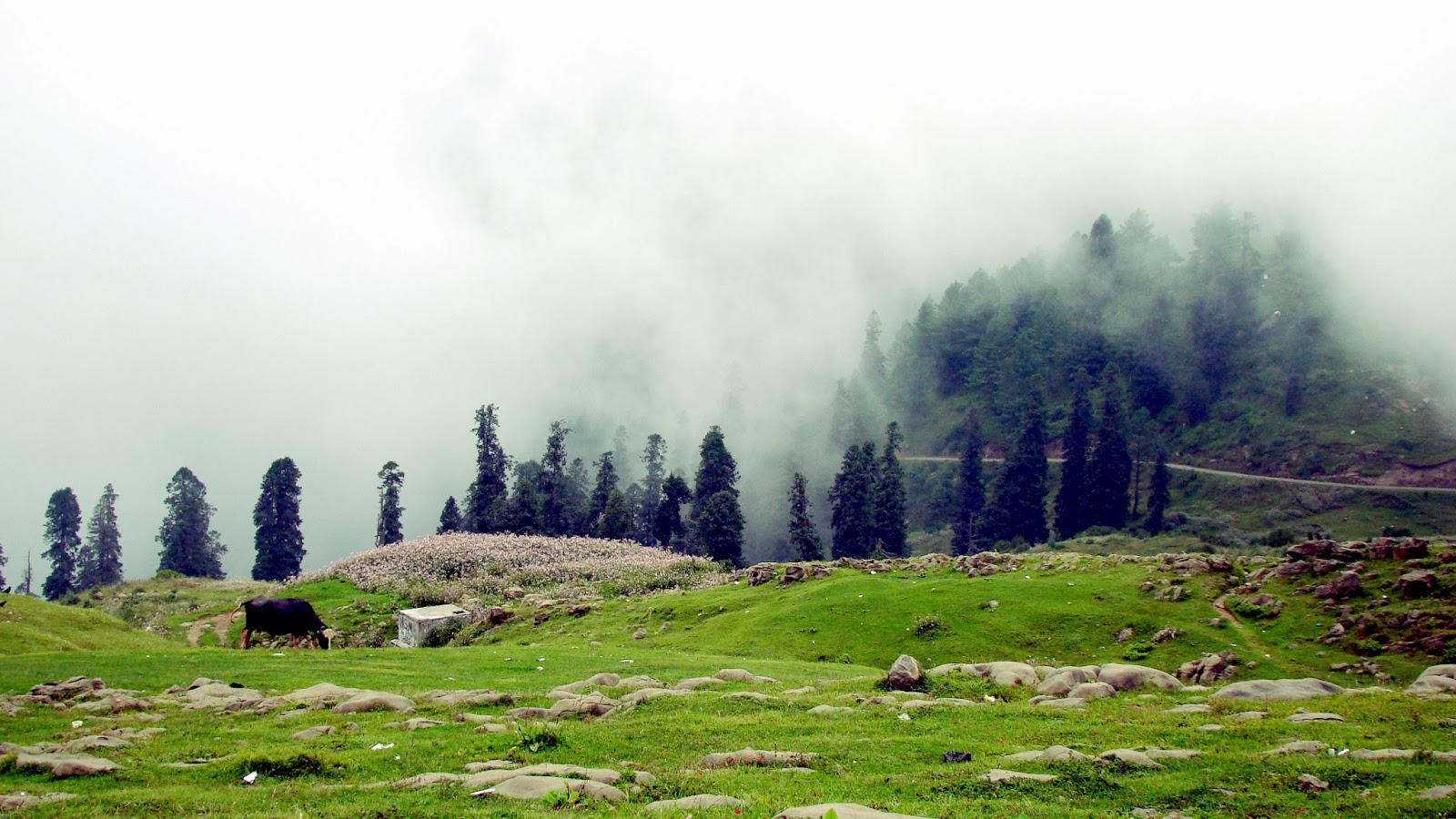Muhammad Zeeshan Tahir: Toli Peer Azad Kashmir