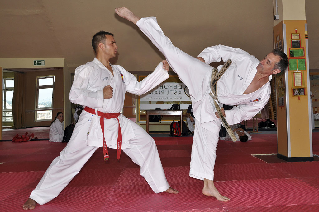 KARATE SHITO RYU ASTURIAS: Entrevista al maestro Lino Gómez Feito 7º ...
