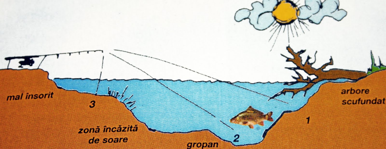 Pasiunea Pescuitului: Pescuitul Crapului in Apele Curgatoare
