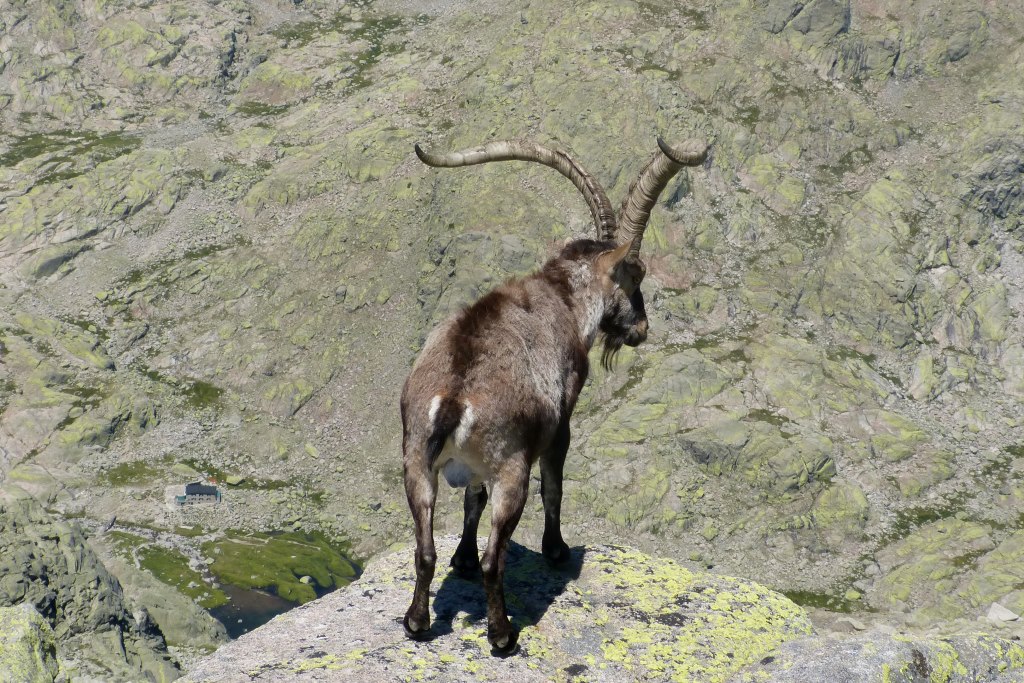 geopiedra: Unamuno y Gredos (GREDOS I)
