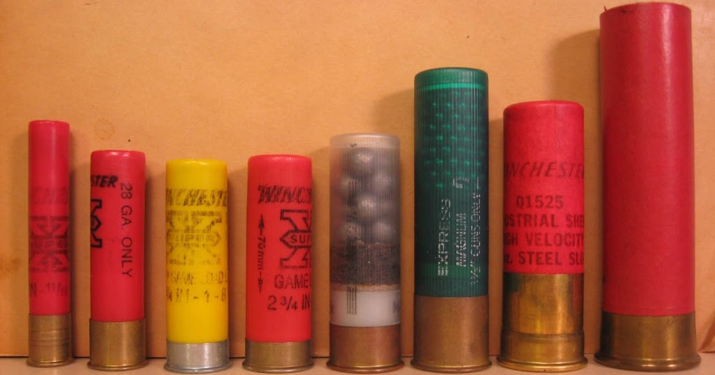 Ammo And Gun Collector Shotgun Shell Gauge Size Comparison