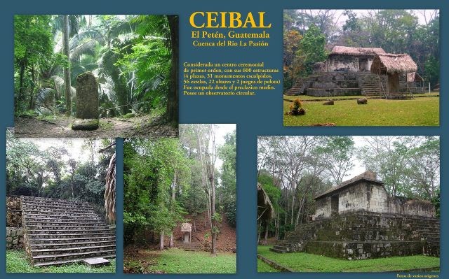 SACBÉ: Camino de aprendizaje: CEIBAL: Lugar de ceibas