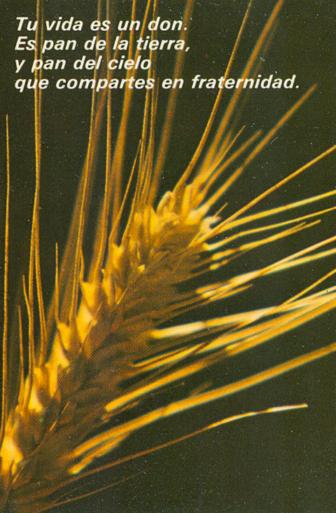 La espiga y la vida (Espiritualidad) | Directorio de la Iglesia Católica
