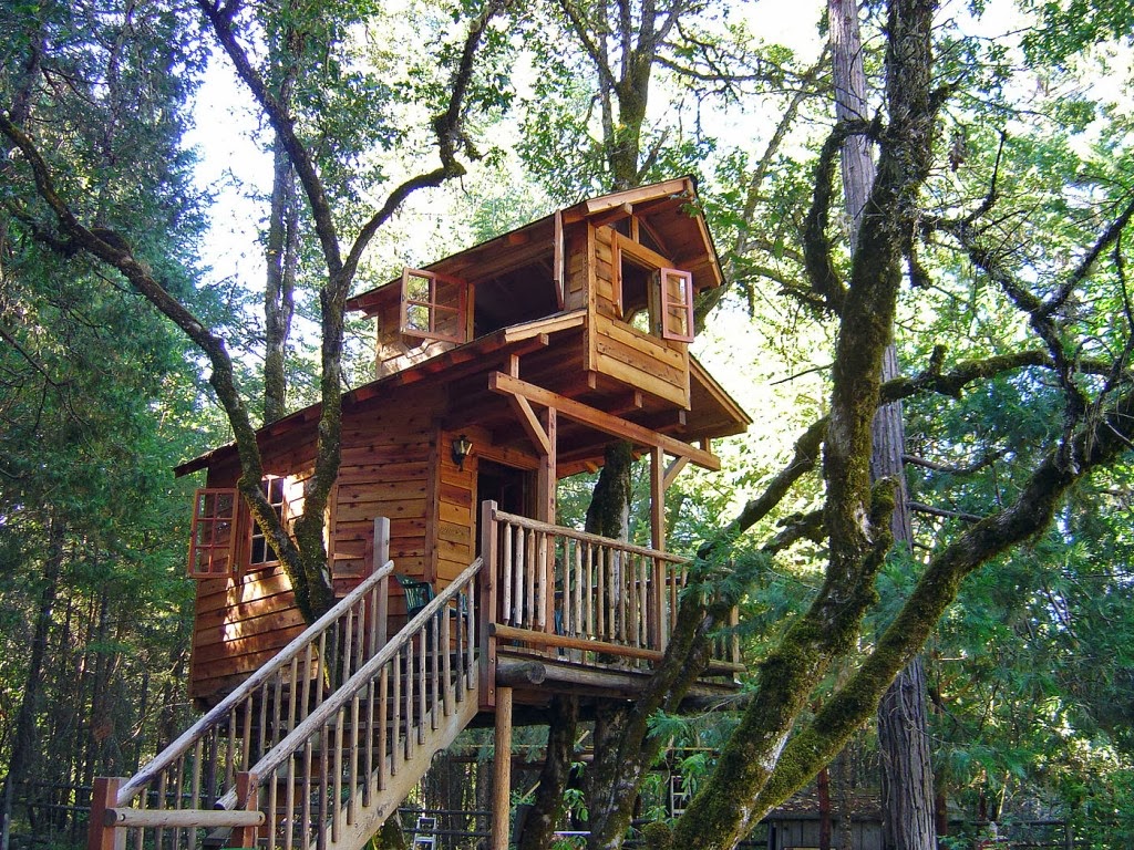 Kits Kits Tree House