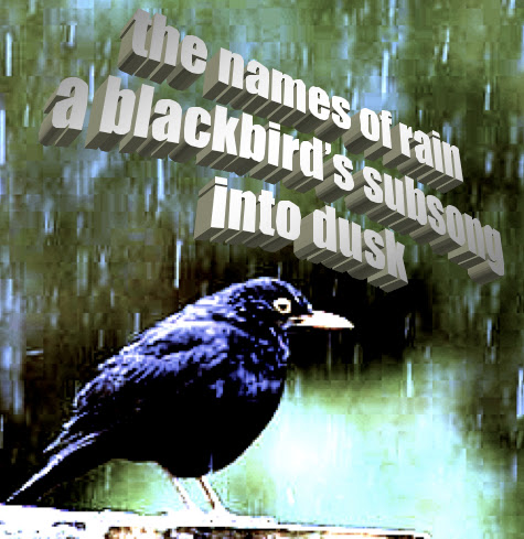 Area 17: A selection of haiku about rain by Alan Summers (rain haiku)