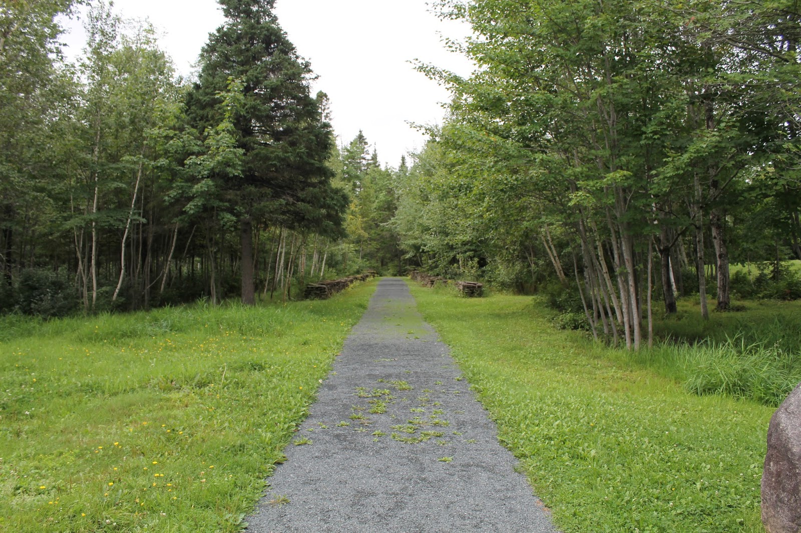 Explore Miramichi With Me: Historical Places: Middle Island Irish ...