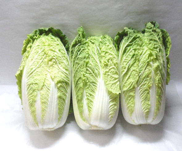 Hairo Freshways Pte Ltd : Long Cabbage
