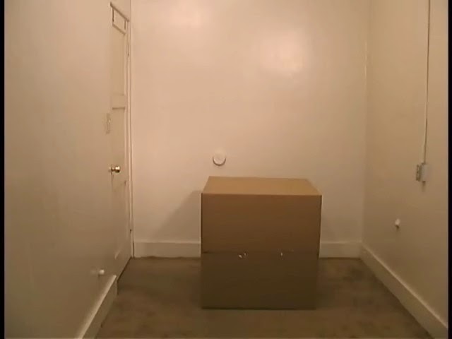 THE ADRIAN QUIHUIS EXPERIENCE: The Greatest Cardboard Box Magic Trick Ever!