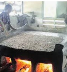 Anim Agro Technology: TANAMAN RUMBIA DAN SAGU