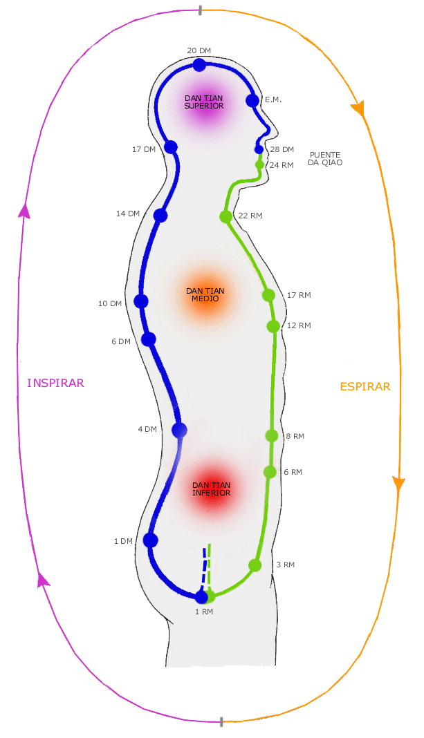 El Durmiente del Shambalá: La Órbita Microcósmica