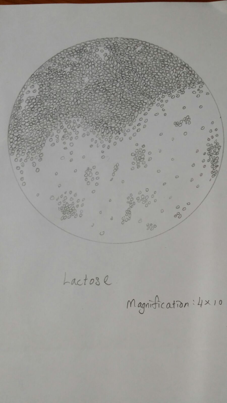 UKM Physical Pharmacy Lab Report: Particle size and shape analysis ...