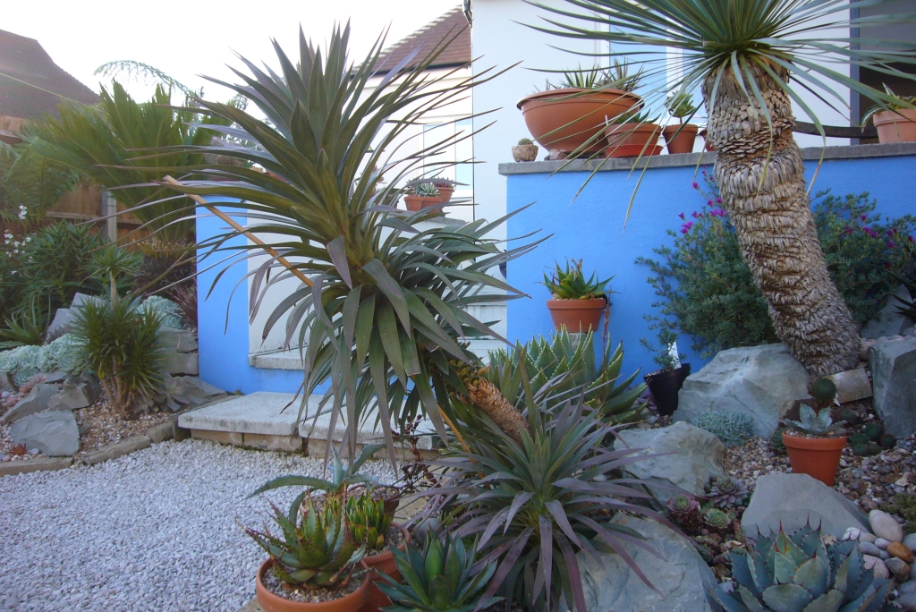 Spiky obsession: 2016