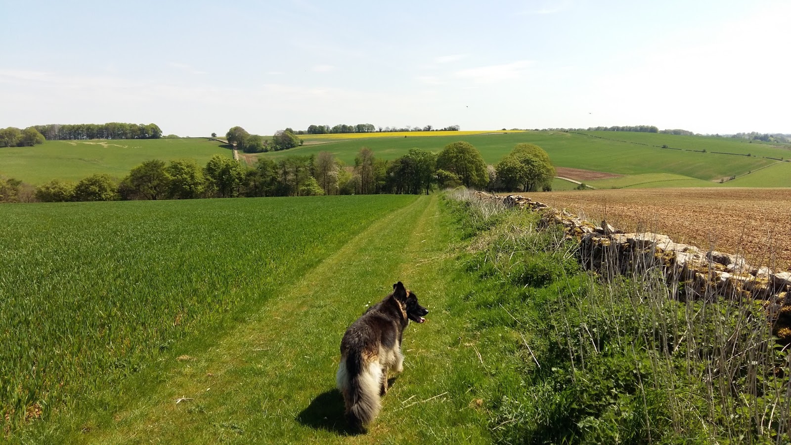 Cotswolds Travel: Idyllic Circular Walk Around Turkdean, Hazelton, and ...
