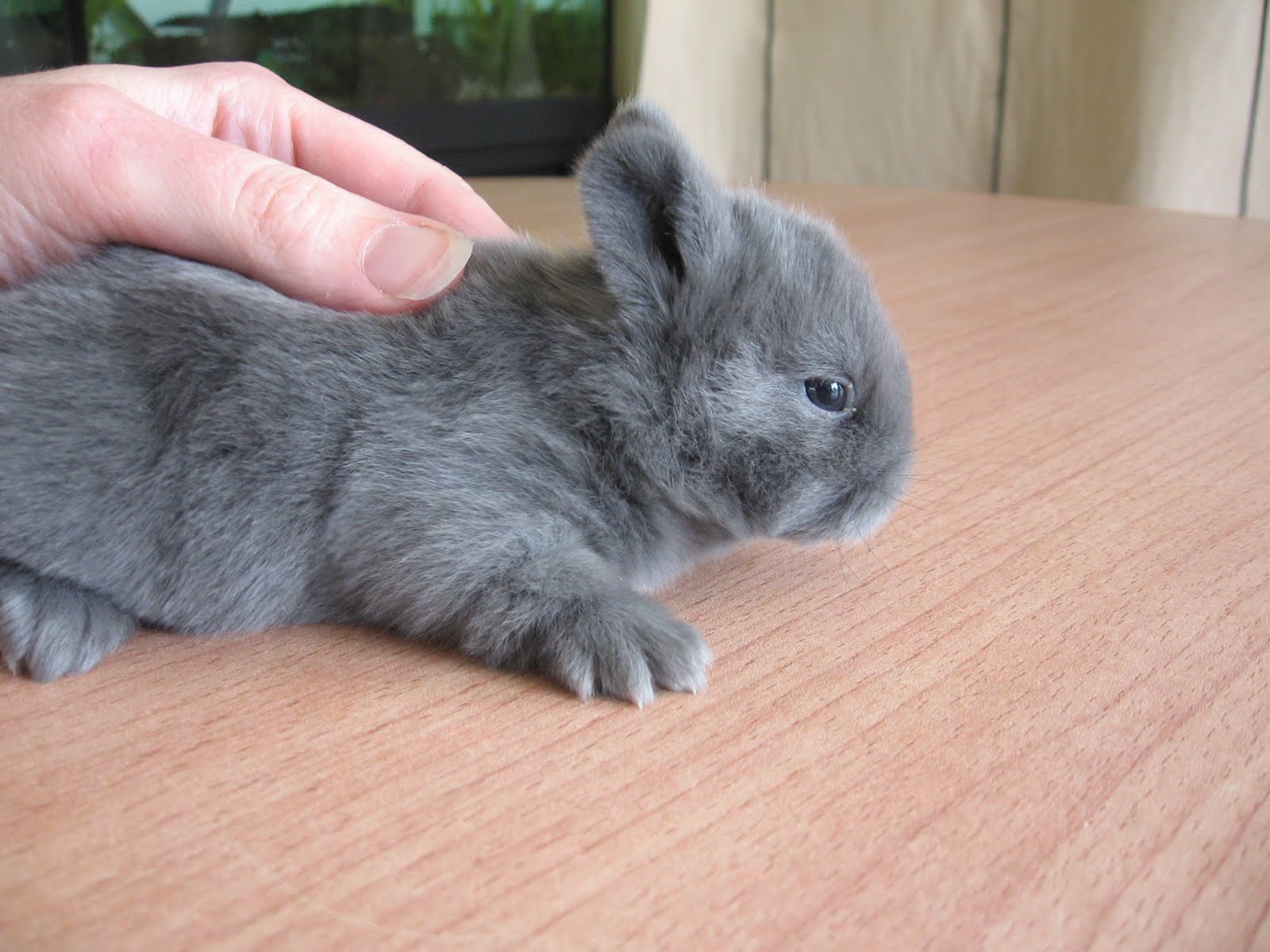 Denley Diaries: 2011-05-29